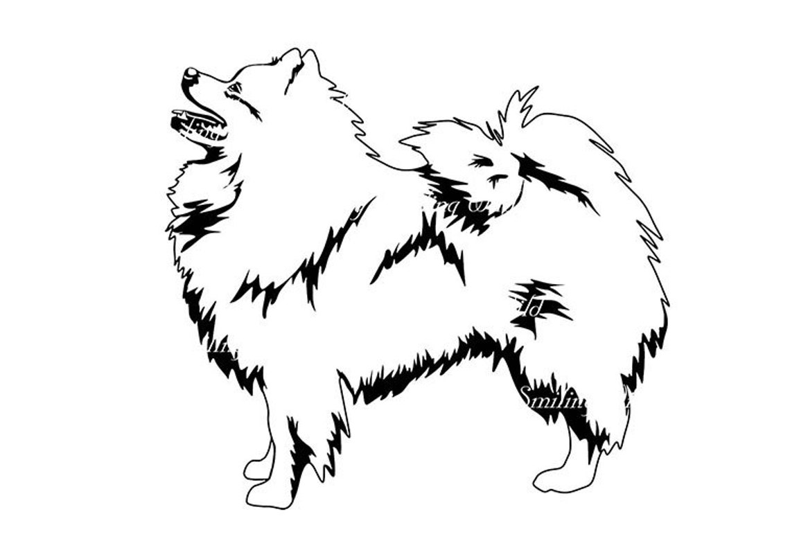 German Spitz Svg Vector Graphic Art Design Deutscher Spitz | Etsy