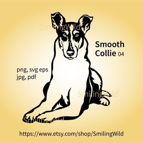 Smooth Collie Art - Etsy