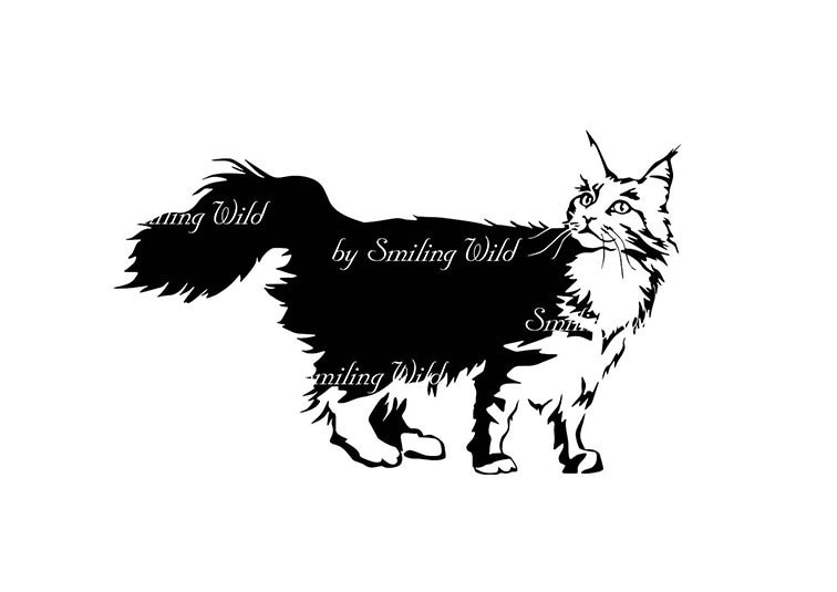 Maine Coon Art Design Svg Png Vector Graphic Clipart Maine | Etsy