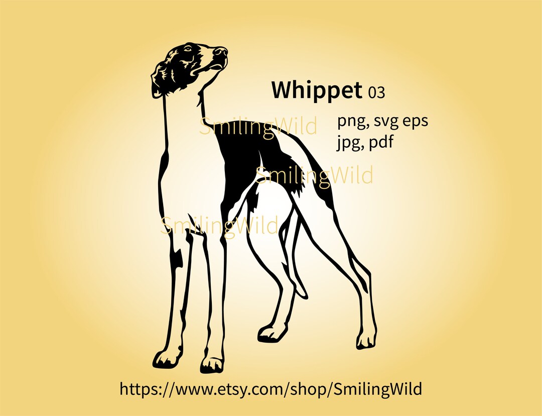 Whippet Dog Svg Vector Graphic Illustration Whippet Clip Art - Etsy