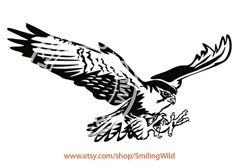 Halcón peregrino svg y png vector gráfico arte pájaro volador clipart ...