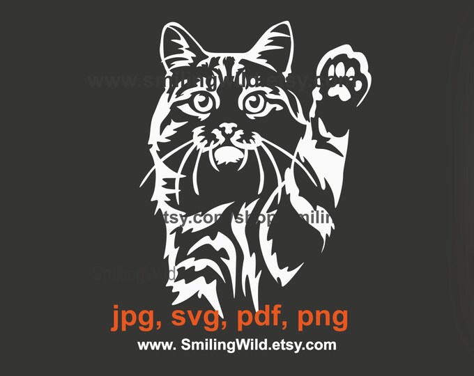 Tabby Katze SVG und PNG digitale Dateien, Vektor-Grafikdesign ...