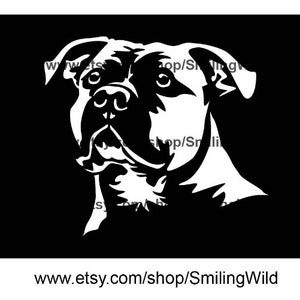 American Staffordshire Terrier Svg White Vector Face Portrait, Amstaff ...