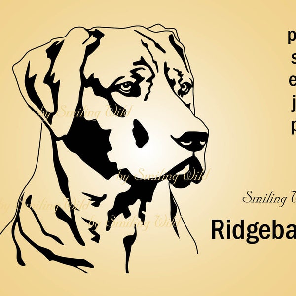 Rhodesian Ridgeback - Etsy