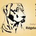 Rhodesian Ridgeback Portrait Vector Graphic Art Png Design | Etsy