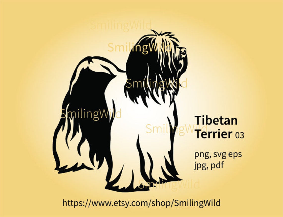 Tibetan Terrier Svg Clipart Cut File Dog Head Vector Graphic - Etsy