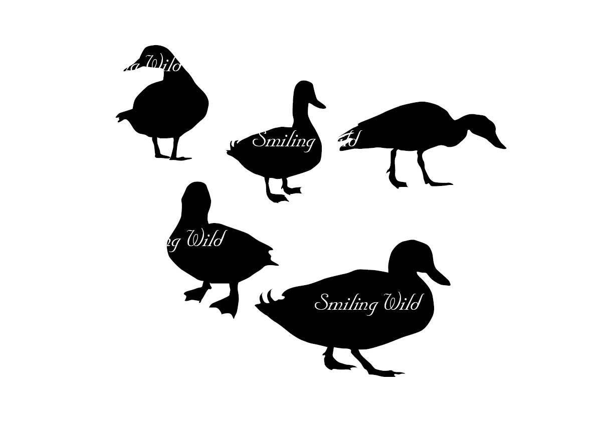 Pato svg silueta clipart patito arte pato familia aves - Etsy México