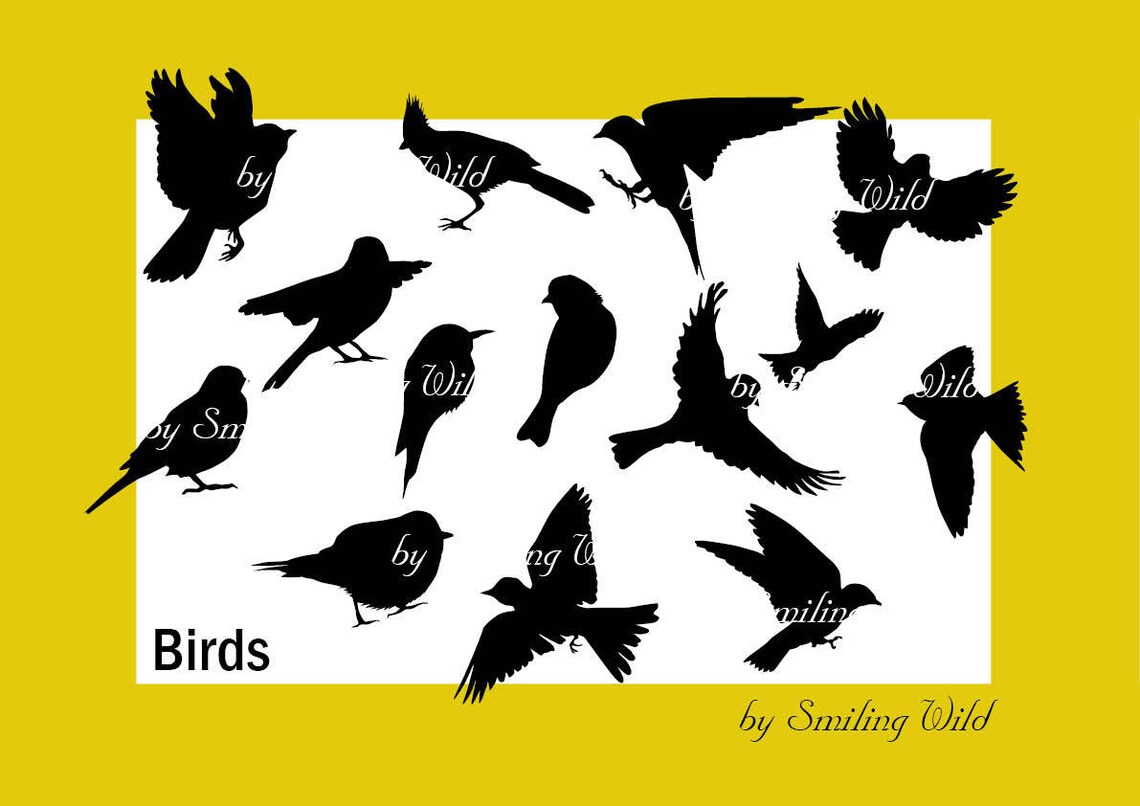 Flying Bird Svg Clipart Silhouette Songbird Silhouettes Vector - Etsy