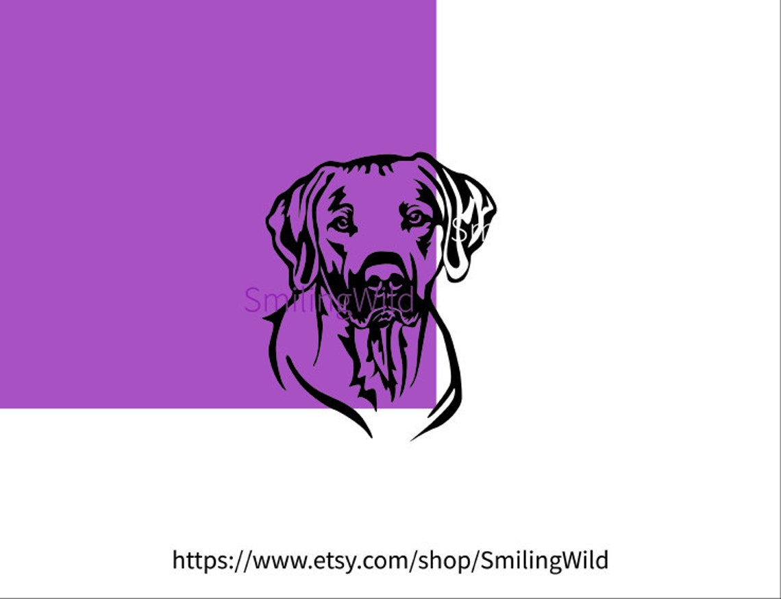 Rhodesian Ridgeback Dog Face Svg Clip Art Vector Graphic - Etsy