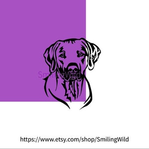 Rhodesian Ridgeback Dog Face Svg Clip Art Vector Graphic Cuttable ...