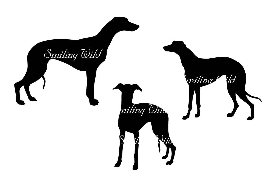 Whippet Vector Graphic Art Svg Silhouette Printable Png - Etsy