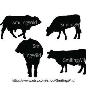 Beefmaster Cattle Svg Vector Graphic Silhouette Bundle, Beef Bulle ...