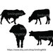 Beefmaster Cattle Svg Vector Graphic Silhouette Bundle, Beef Bulle ...