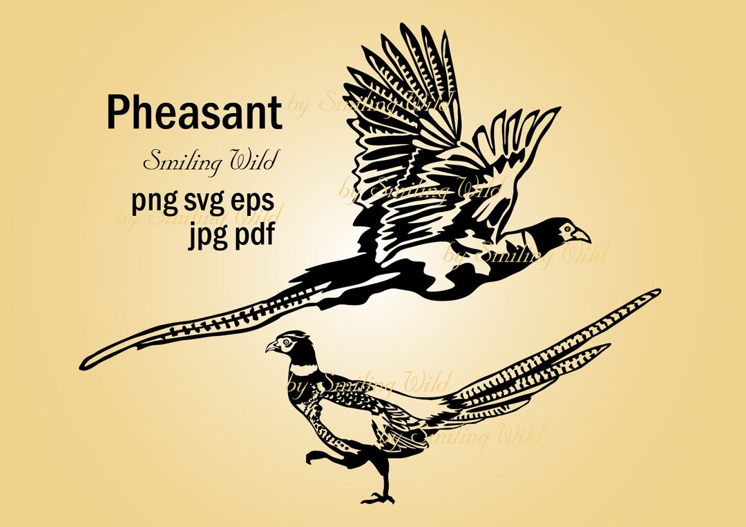 Bird Pheasant SVG & PNG Clipart Vector Graphic Bundle Art Artwork ...