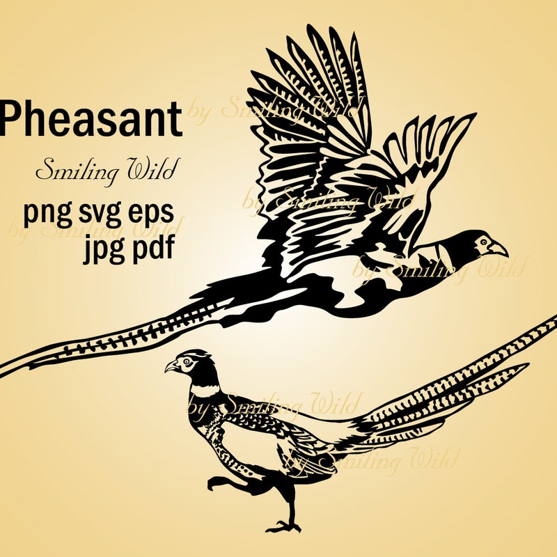 Pheasant - Etsy