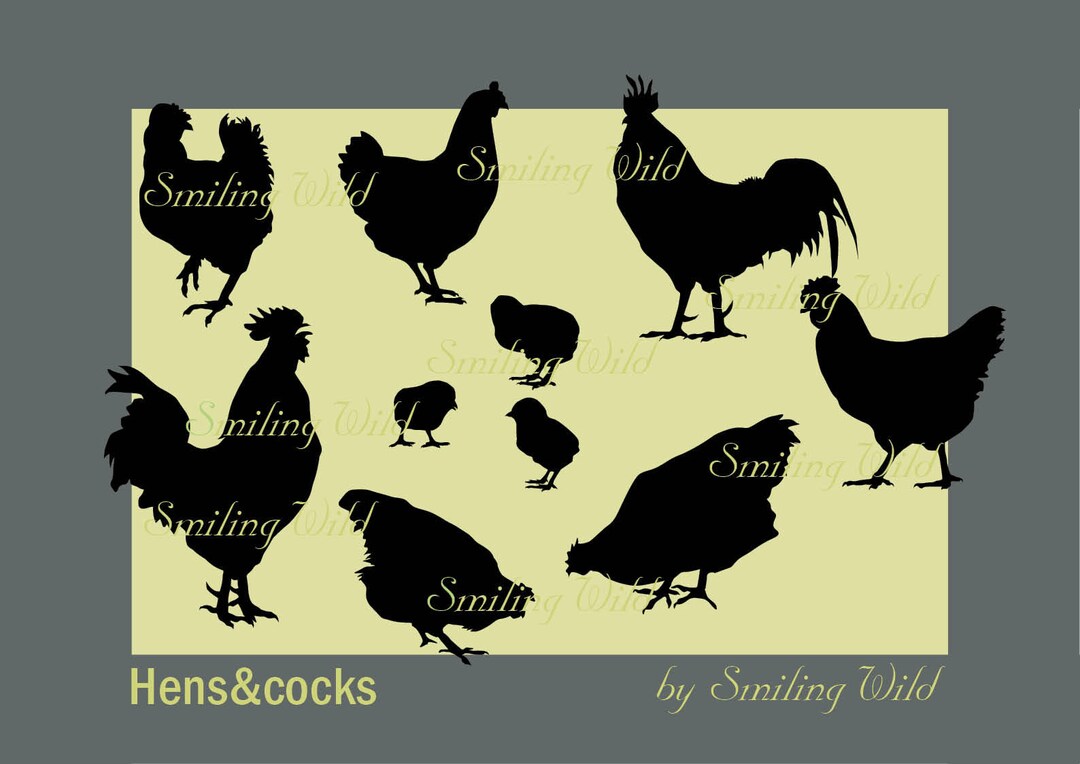 Pollo svg Gallina gallo silueta svg polla corte archivo - Etsy España