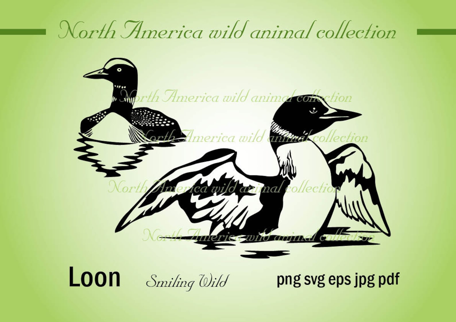 Loon Svg Diver Clipart Vector Graphic Art Loon Printable Waterfowl Svg ...