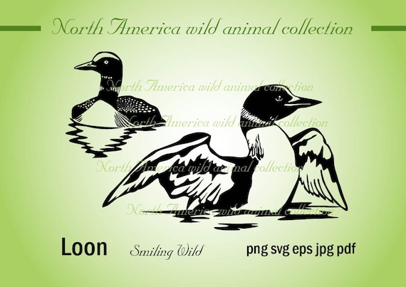 Loon Svg Diver Clipart Vector Graphic Art Loon Printable | Etsy