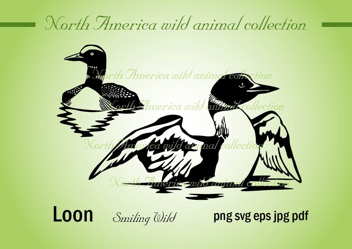 Loon Svg Diver Clipart Vector Graphic Art Loon Printable Waterfowl Svg ...