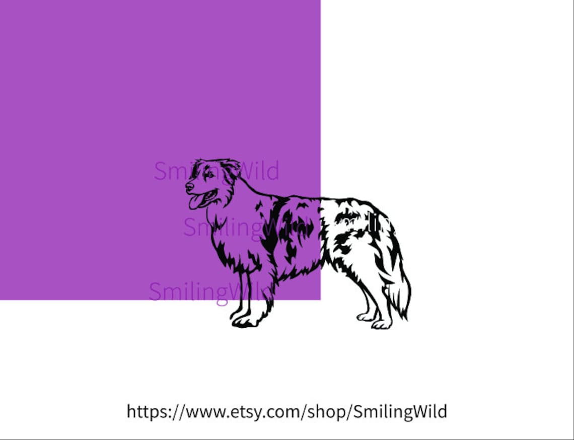 Merle Australian Shepherd Head Svg Clip Art Aussie Vector - Etsy