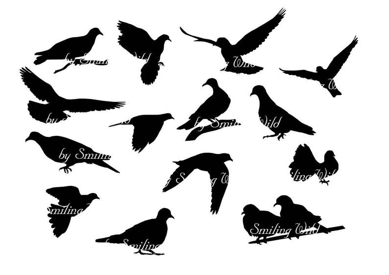 Duif silhouet duif svg vector clipart vogel png duif kunst - Etsy België