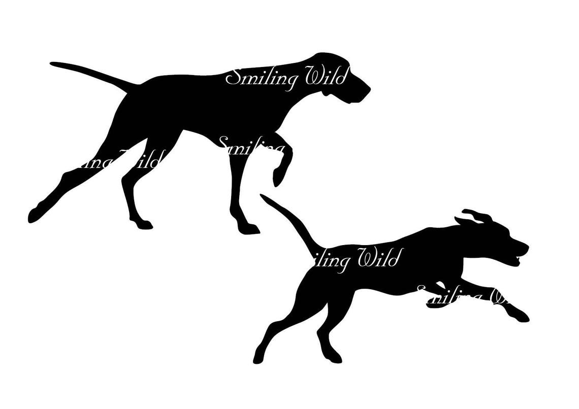 English Pointer Svg Silhouette Png Clipart Cutout File English - Etsy