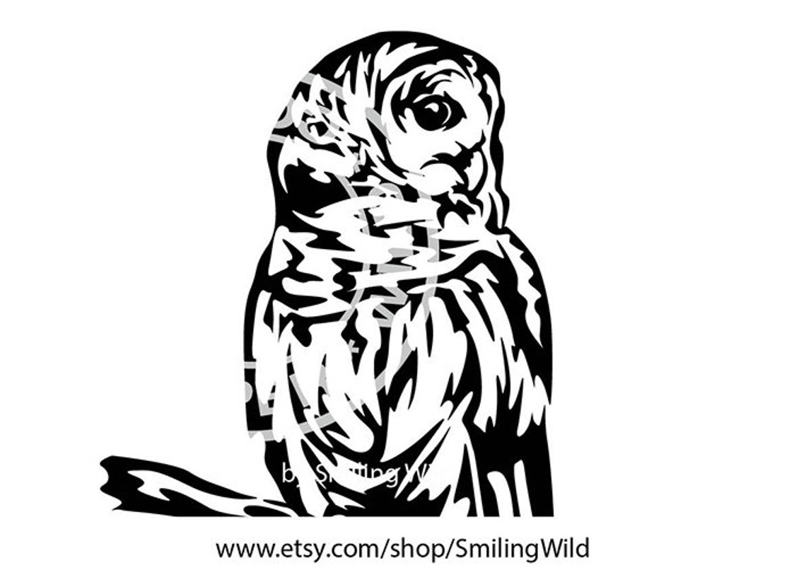 Barred Owl Svg Vector Graphic Art Cut File Digital Design - Etsy