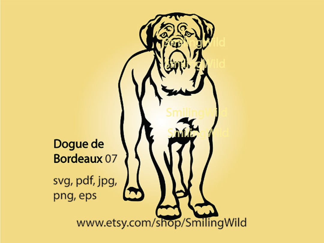 Dogue De Bordeaux Svg Cute Dog Clipart Portrait Vector Graphic Art ...