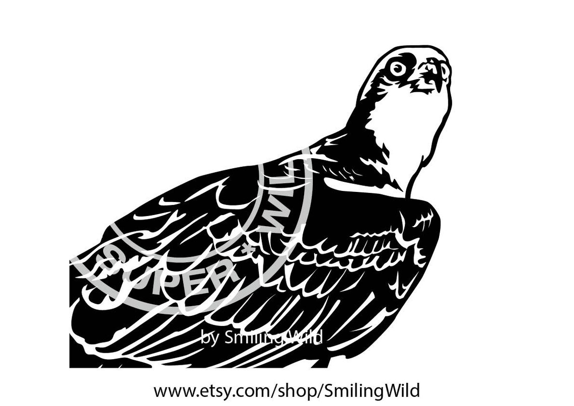 Osprey Bird Svg Sea Hawk Vector Graphic Art Osprey Clip Art - Etsy