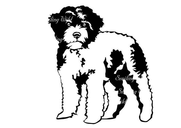Lagotto Romagnolo Dog SVG Bundle: Vector Graphic Clipart for Digital ...