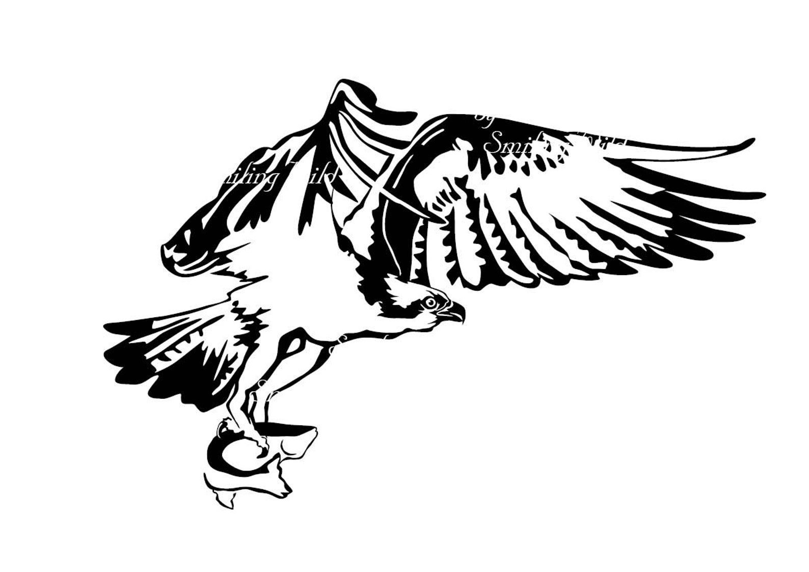 Osprey Svg Sea Hawk Clipart Art Bird of Prey Vector Graphic - Etsy Canada