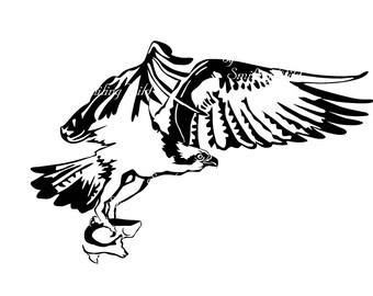 Seahawk Bird Clipart Cute