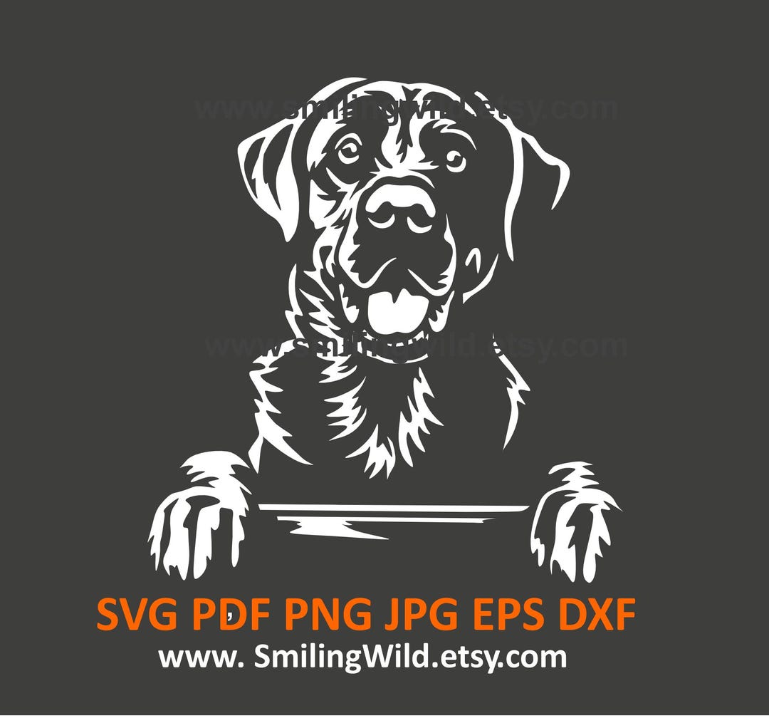 Cute Lab Clipart SVG, PNG, DXF - Realistic Hunting Dog White Canine ...