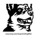Blue Heeler SVG PNG DXF, Australian Cattle Dog Vector (digital Download ...