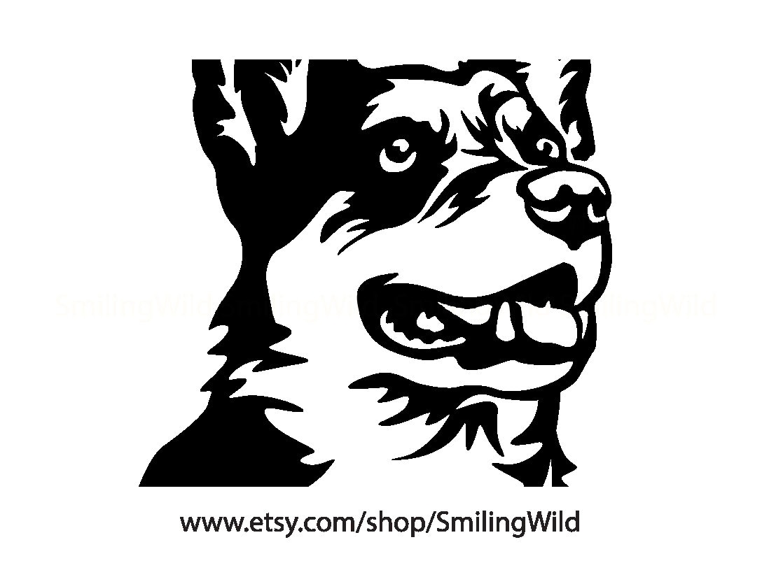 Blue Heeler SVG PNG DXF, Australian Cattle Dog Vector (digital Download ...