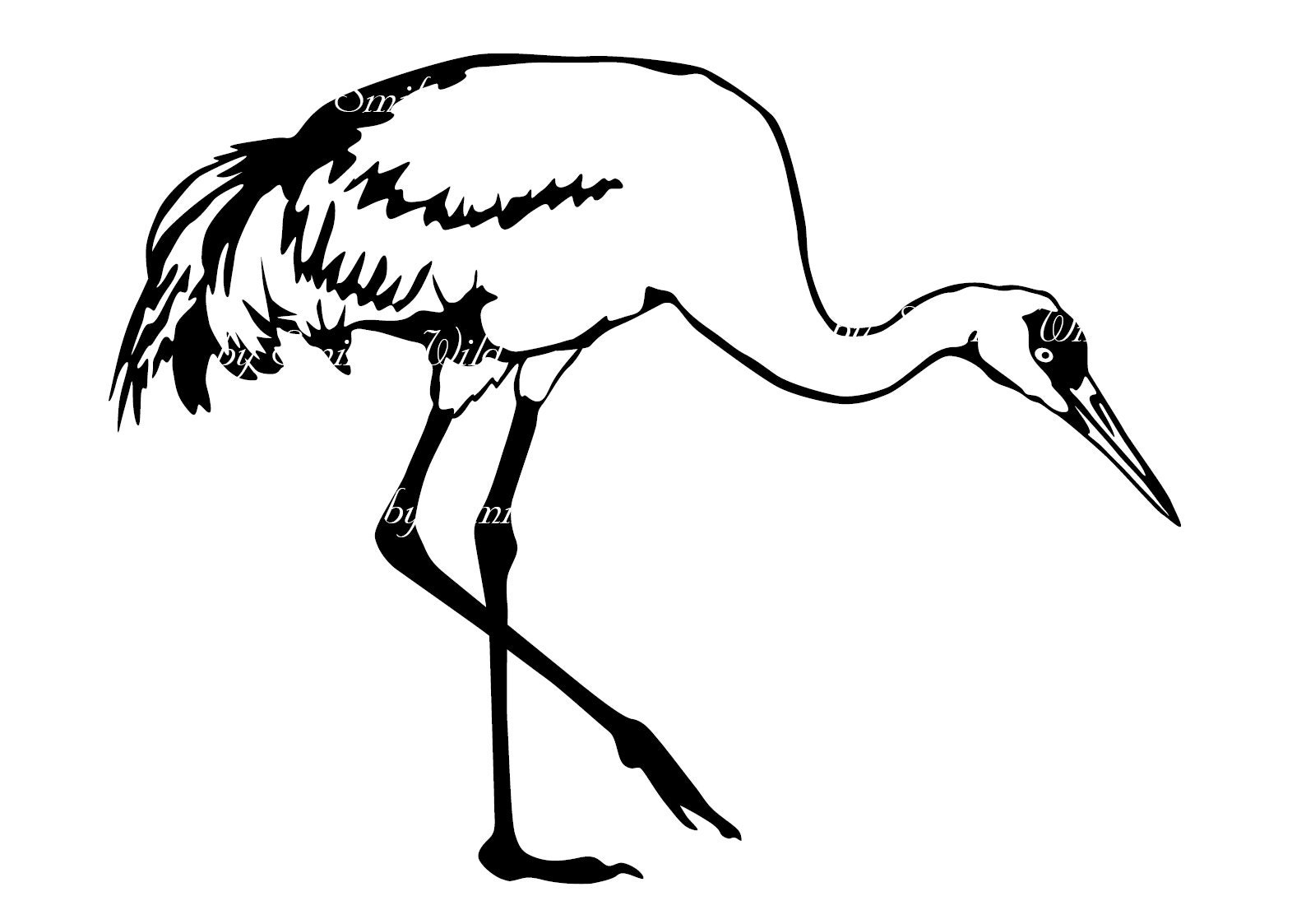 Sandhill Kranich Kunst svg Clipart Vektor Grafik Nordamerika - Etsy.de