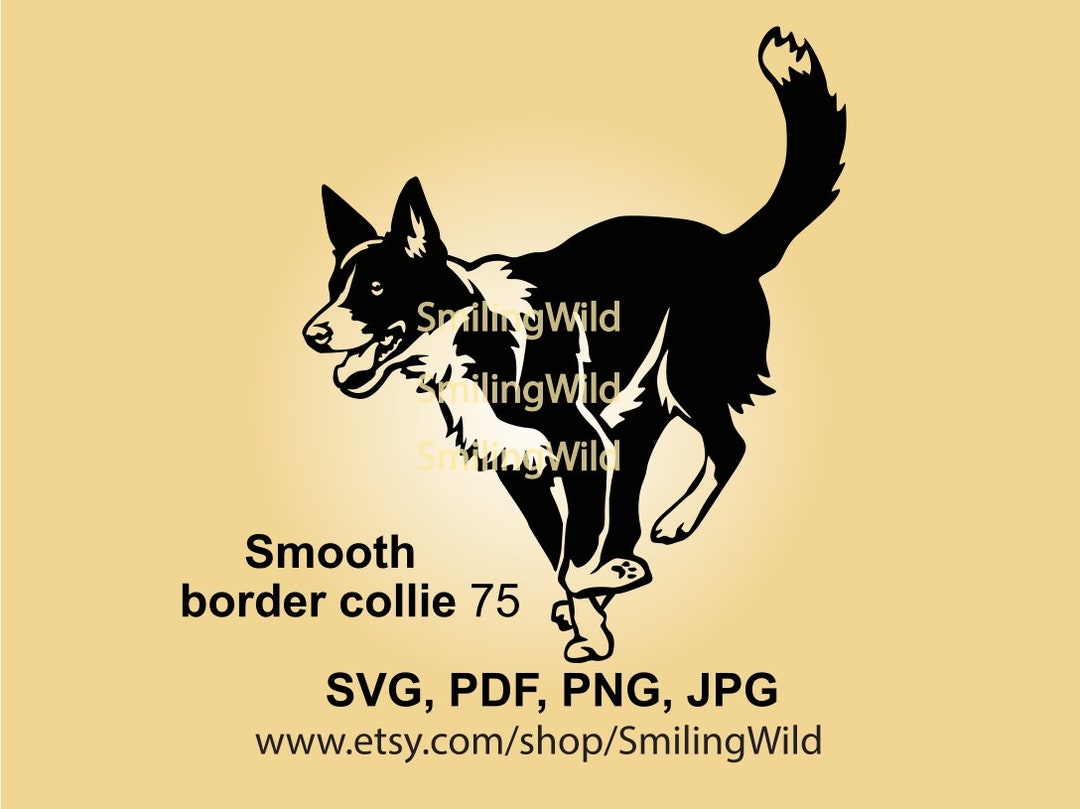 Running Smooth Border Collie Svg Cuttable Clip Art, Dog Digital Vector ...