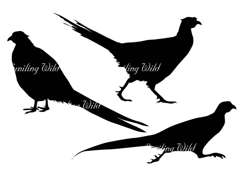 Pheasant Svg Silhouette Clipart Bird Cut File Cricut Printable | Etsy