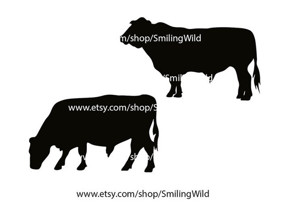 Angus Bull Clip Art