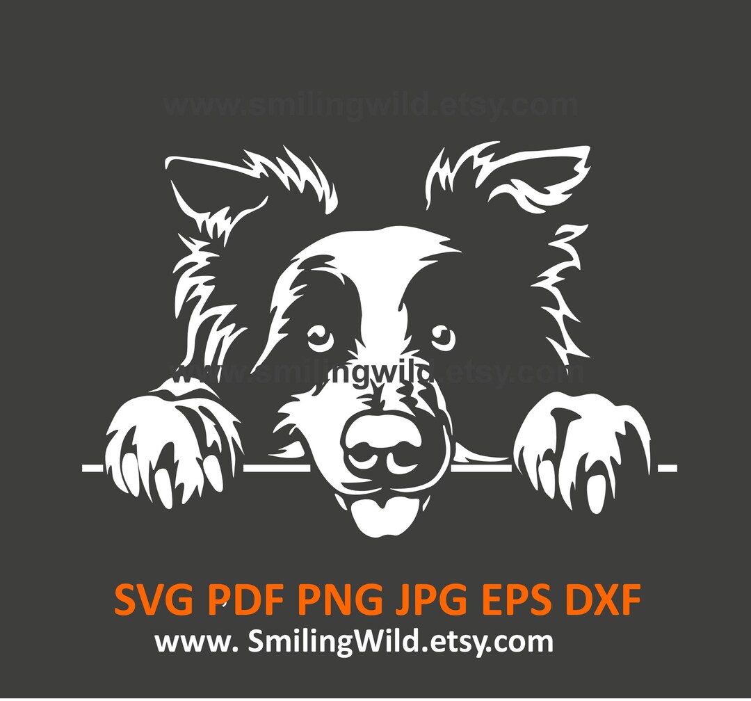 Cute Smiling Border Collie Dog SVG & PNG, DXF | Realistic Dog White ...
