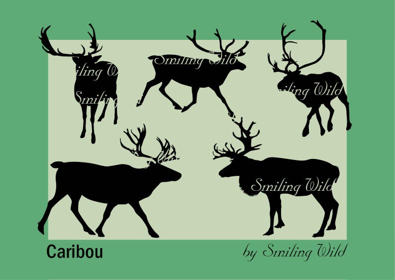 Caribou Silhouette Reindeer Svg Santa Claus Christmas Deer Cut | Etsy