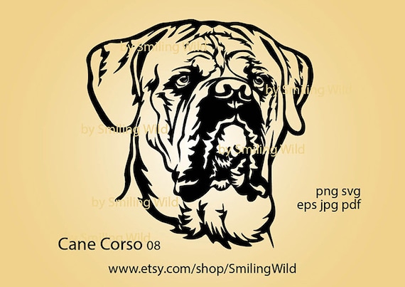 Cane Corso head svg clipart cut file Dog portrait vector | Etsy Polska