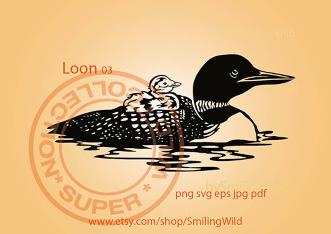 Loon Svg Png Bird Vector Graphic Art Waterfowl Canada Wild Animal Mom ...