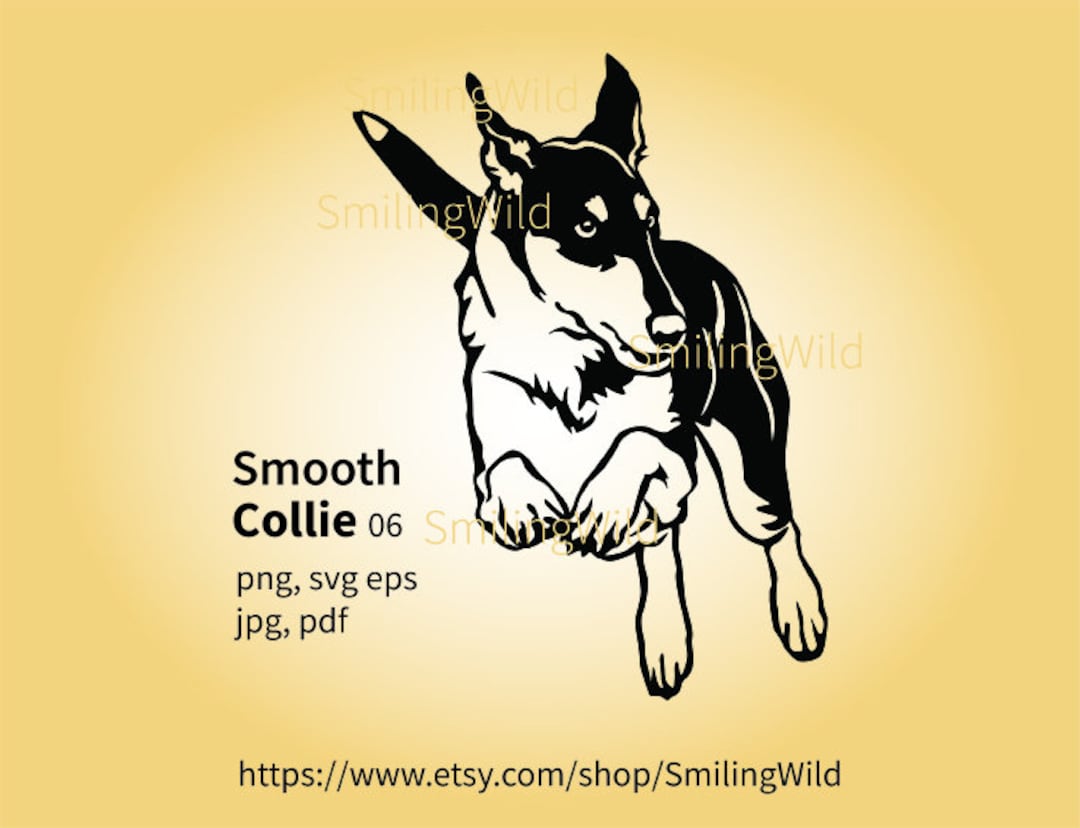 Smooth Collie Svg Clip Art Cuttable Vector Graphic Art, Jumping Dog ...