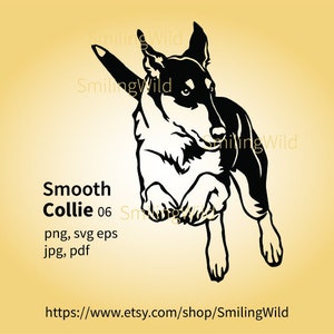 Smooth Collie Svg Clip Art Cuttable Vector Graphic Art, Jumping Dog ...