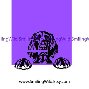 Irish Setter Svg Dog Head Vector Graphic Logo Art Irish Setter Clip Art ...