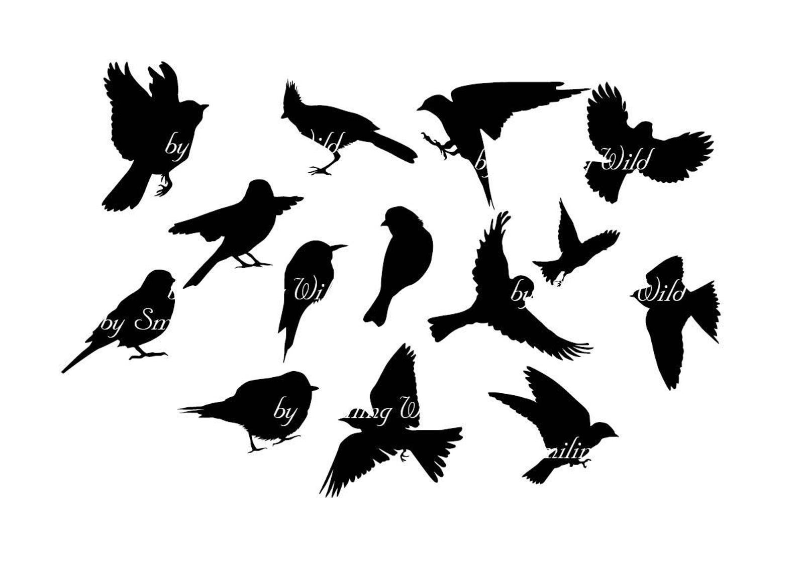 Flying Bird Svg Clipart Silhouette Songbird Silhouettes Vector - Etsy