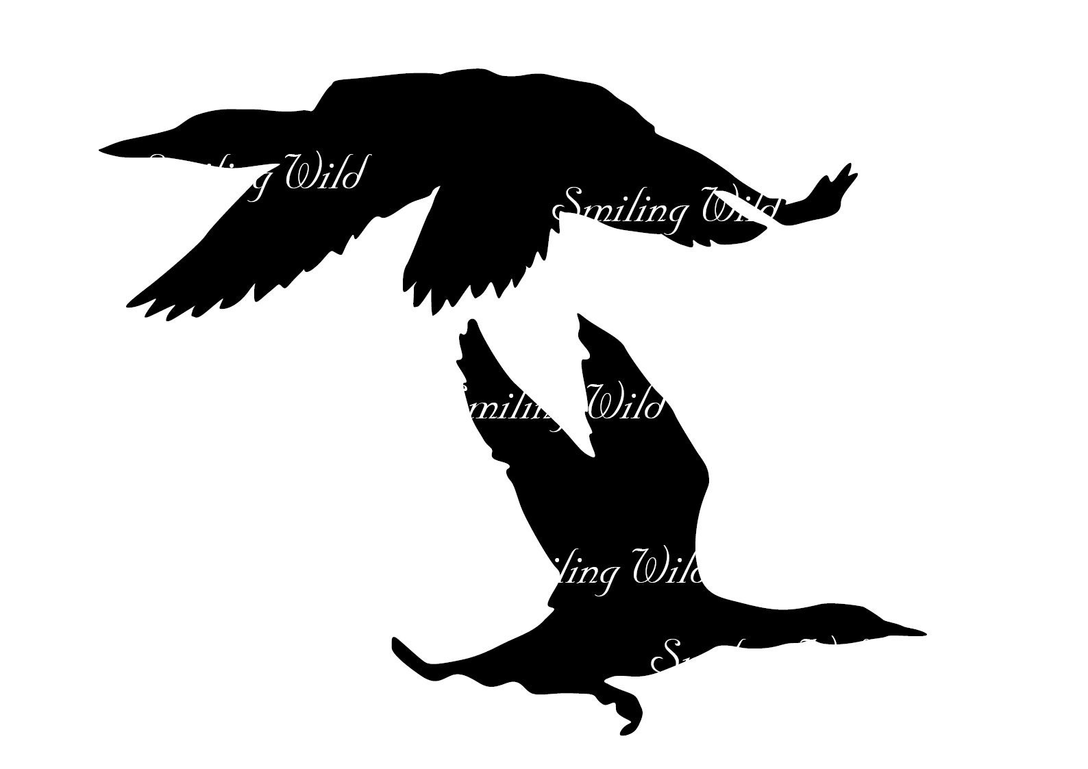 Loon Svg Silhouette Flying Bird Divers Clipart Png Vector - Etsy Canada