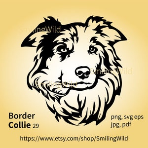 Merle Border Collie Svg Face, Dog Vector Graphic Illustration, Border ...