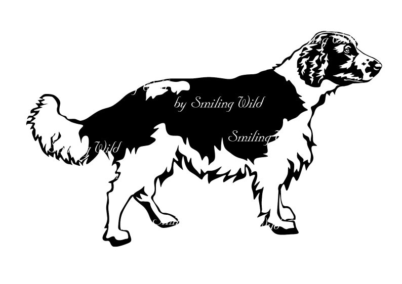 Welsh Springer Spaniel Svg Clipart Vector Graphic Art Welsh - Etsy